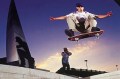 Slam City Skates Blog - Skate Videos, Interviews, London Skateboarding ...